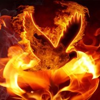 Eucharistic Adoration – Fire of Faith